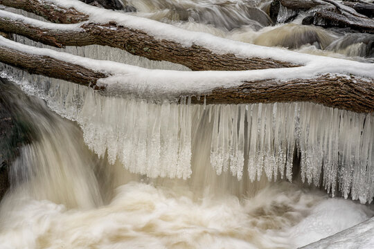 Hamilton bilder – Bläddra bland 18,062 stockfoton, vektorer och videor ...