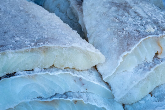 รูปภาพClipfish – เลือกดูภาพถ่ายสต็อก เวกเตอร์ และวิดีโอ4,996 | Adobe Stock