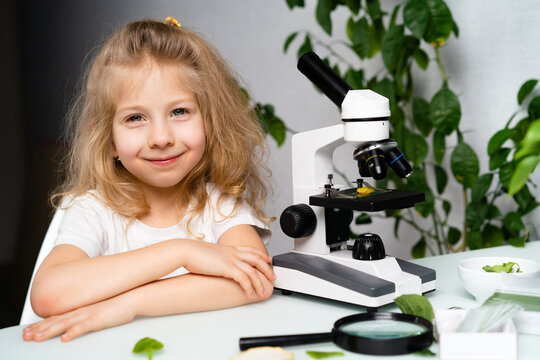 Biolog Images – Browse 145 Stock Photos, Vectors, and Video | Adobe Stock