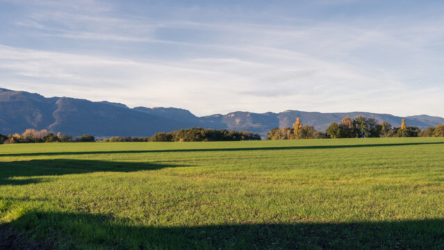 「Gex」の画像 - 260 件の Stock 写真、ベクターおよびビデオ | Adobe Stock