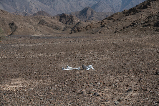 Znco3 bilder – Bläddra bland 407 stockfoton, vektorer och videor ...