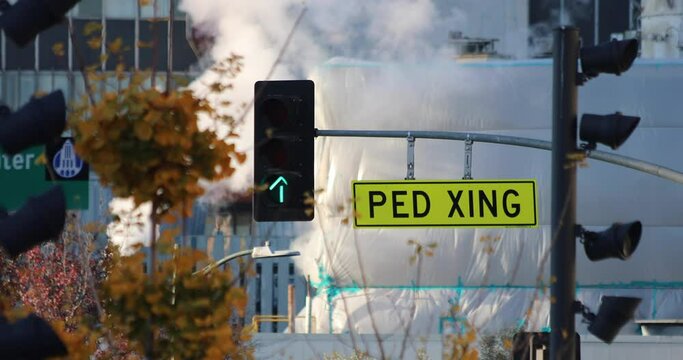 Ped Video Footage – Browse 387 HD Stock Video and Footage | Adobe Stock