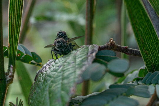 รูปภาพCopulando – เลือกดูภาพถ่ายสต็อก เวกเตอร์ และวิดีโอ114 | Adobe Stock