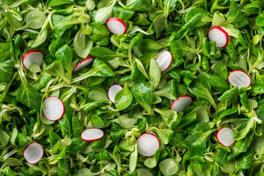 「Mache」の画像 - 9,383 件の Stock 写真、ベクターおよびビデオ | Adobe Stock