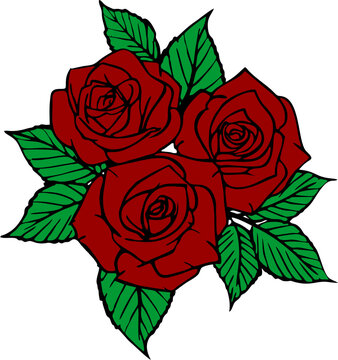 Red Roses Drawings In Color