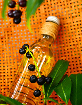 「Lorbeeren」の画像 - 1,851 件の Stock 写真、ベクターおよびビデオ | Adobe Stock