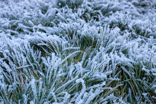 รูปภาพKous – เลือกดูภาพถ่ายสต็อก เวกเตอร์ และวิดีโอ481 | Adobe Stock