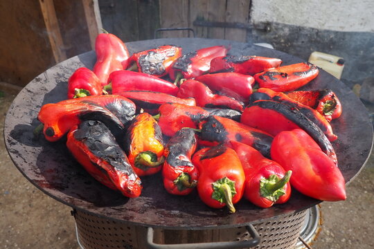 Pan Bg Images – Browse 1,180 Stock Photos, Vectors, and Video | Adobe Stock