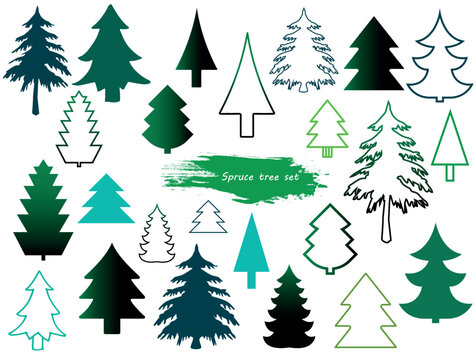 Pine Tree Vector Free