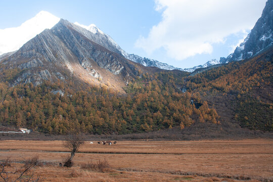 「Riwa」の画像 - 71 件の Stock 写真、ベクターおよびビデオ | Adobe Stock