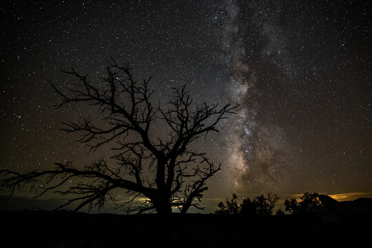 Snagged 이미지 – 찾아보기 83,488 스톡 사진, 벡터 및 비디오 | Adobe Stock
