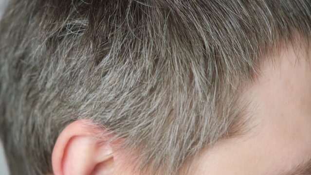 Grizzled Images – Browse 15,792 Stock Photos, Vectors, and Video ...