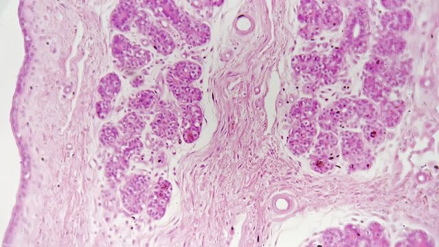 รูปภาพStasis – เลือกดูภาพถ่ายสต็อก เวกเตอร์ และวิดีโอ1,662 | Adobe Stock