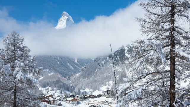 Visp Bilder – Durchsuchen 1,514 Archivfotos, Vektorgrafiken und Videos ...