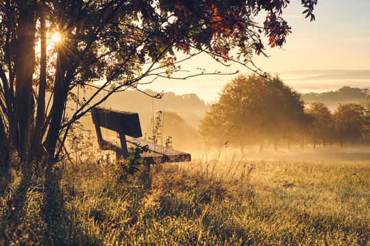 รูปภาพNebelig – เลือกดูภาพถ่ายสต็อก เวกเตอร์ และวิดีโอ14,118 | Adobe Stock