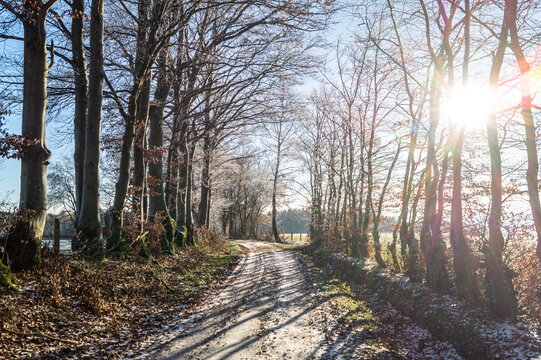 Gelant Images – Browse 29 Stock Photos, Vectors, and Video | Adobe Stock