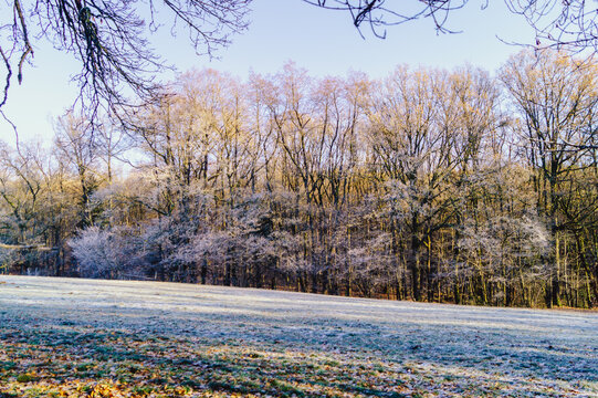 Gelant Images – Browse 28 Stock Photos, Vectors, and Video | Adobe Stock