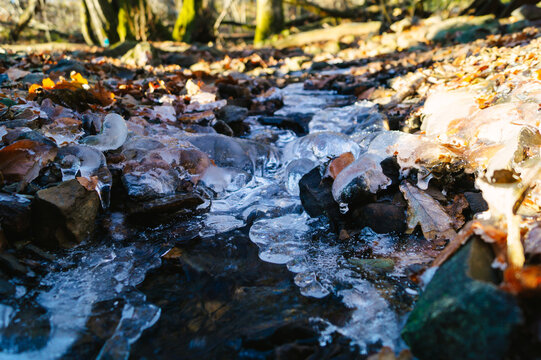 Gelant Images – Browse 28 Stock Photos, Vectors, and Video | Adobe Stock