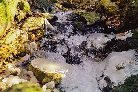 Gelant Images – Browse 29 Stock Photos, Vectors, and Video | Adobe Stock