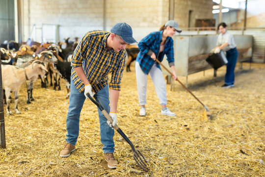 Peasant Images – Browse 750,000 Stock Photos, Vectors, and Video ...