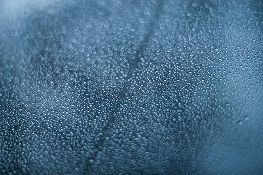 Blue Rain Drops Images – Browse 440,552 Stock Photos, Vectors, and ...