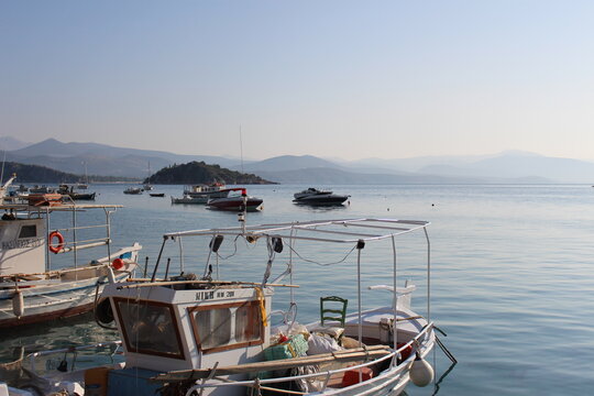 รูปภาพTolo – เลือกดูภาพถ่ายสต็อก เวกเตอร์ และวิดีโอ774 | Adobe Stock