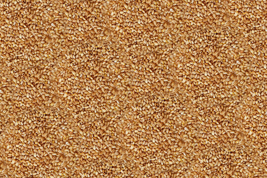 Rollgerste Bilder – Durchsuchen 22,474 Archivfotos, Vektorgrafiken und ...