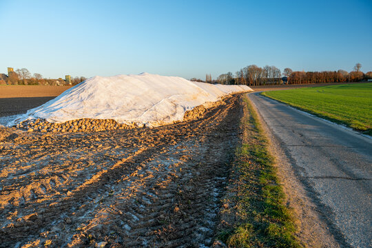 รูปภาพBache – เลือกดูภาพถ่ายสต็อก เวกเตอร์ และวิดีโอ1,824 | Adobe Stock