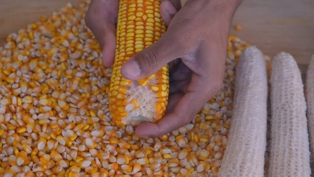Cornstarch Video Footage – Browse 92 HD Stock Video and Footage | Adobe ...
