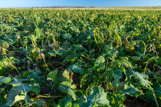 รูปภาพLessivage – เลือกดูภาพถ่ายสต็อก เวกเตอร์ และวิดีโอ276 | Adobe Stock