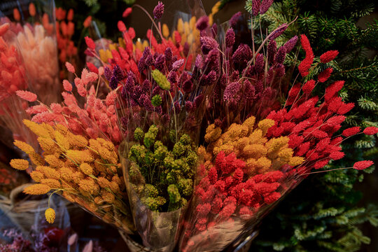 "Bouquet De Fleurs" Images – Browse 3,137 Stock Photos, Vectors, and Video | Adobe Stock