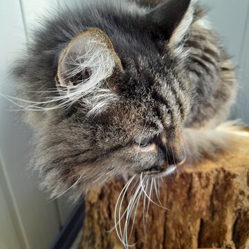 Suddenly Images – Browse 7,107 Stock Photos, Vectors, and Video | Adobe ...