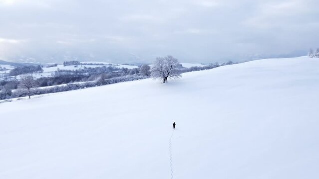 Obrazy (Proto-Human) — zdjęcia, wektory i wideo bez tantiem (76 ...