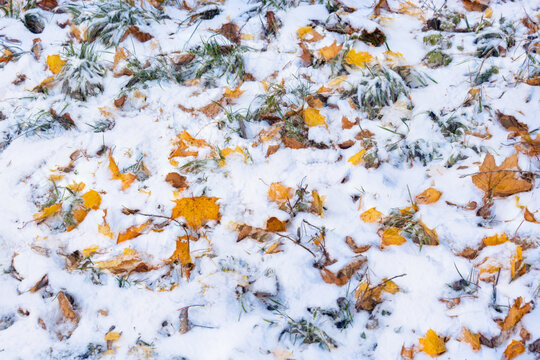 Schichtende Bilder – Durchsuchen 650 Archivfotos, Vektorgrafiken und ...