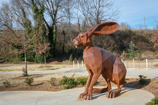 "Swamp Rabbit"-Bilder: Stock-Fotos & -Videos. | Adobe Stock