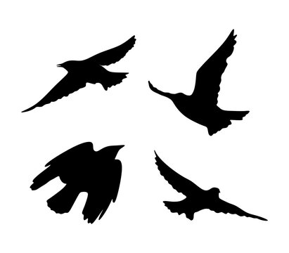 Flying Crow Stencil