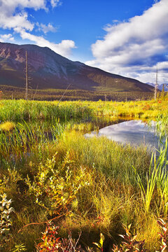 Imágenes de Mellow: descubre bancos de fotos, ilustraciones, vectores y ...