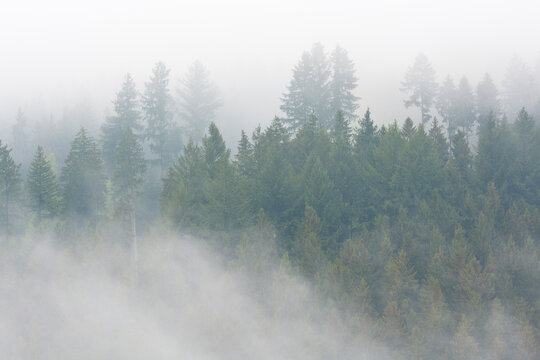 Weather-Beaten Images – Browse 6,867,674 Stock Photos, Vectors, and ...