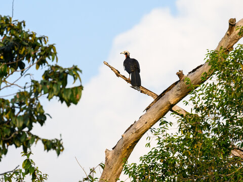 รูปภาพJacu – เลือกดูภาพถ่ายสต็อก เวกเตอร์ และวิดีโอ126 | Adobe Stock