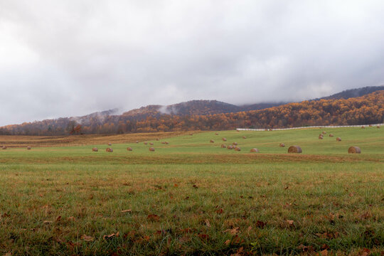 "Old Rag" Images – Browse 230 Stock Photos, Vectors, and Video | Adobe ...