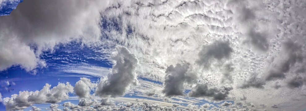 Afbeeldingen over "Wayne Grazio" – Blader in stockfoto's, vectoren en ...