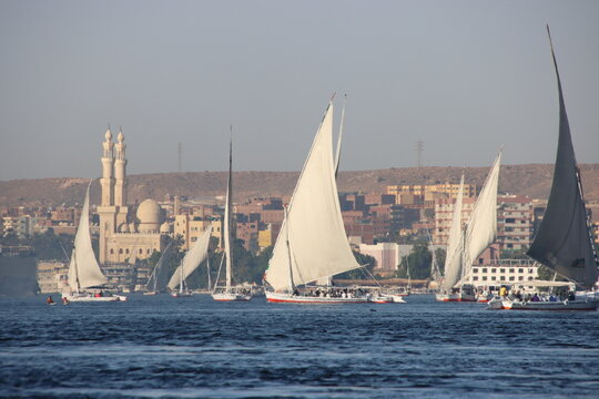 Feluke Bilder – Durchsuchen 3,514 Archivfotos, Vektorgrafiken und ...