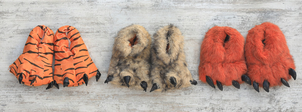 รูปภาพClaws – เลือกดูภาพถ่ายสต็อก เวกเตอร์ และวิดีโอ615,888 | Adobe Stock