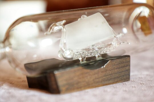 รูปภาพRing-Barking – เลือกดูภาพถ่ายสต็อก เวกเตอร์ และวิดีโอ6,078 ...