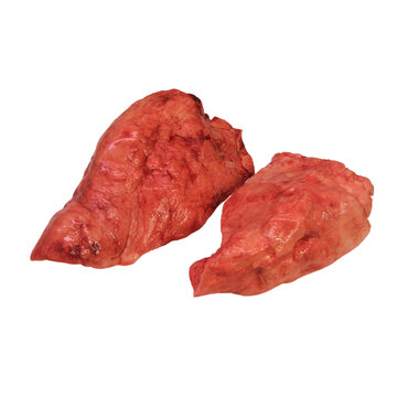 "Pork Offal" Images – Browse 152 Stock Photos, Vectors, and Video ...