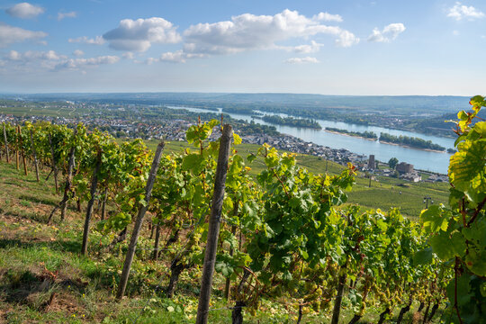 Alpenrhein Bilder – Durchsuchen 18,028 Archivfotos, Vektorgrafiken und ...