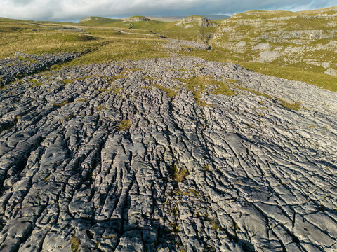Gryke 이미지 – 찾아보기 7,702 스톡 사진, 벡터 및 비디오 | Adobe Stock