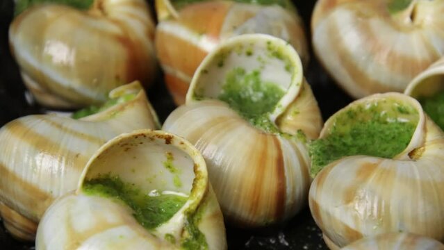 "Escargots Billeder – Gennemse 3,227 stockfotos, vektorer og videoer ...