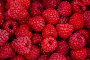 20+ Free Red Berry Pictures - Pikwizard