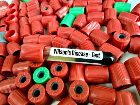 Pwd 이미지 – 찾아보기 393 스톡 사진, 벡터 및 비디오 | Adobe Stock